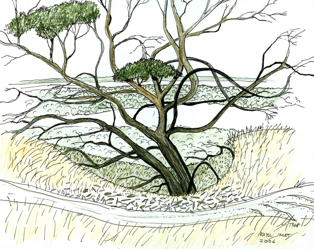 Philip Island - Nott Architecture