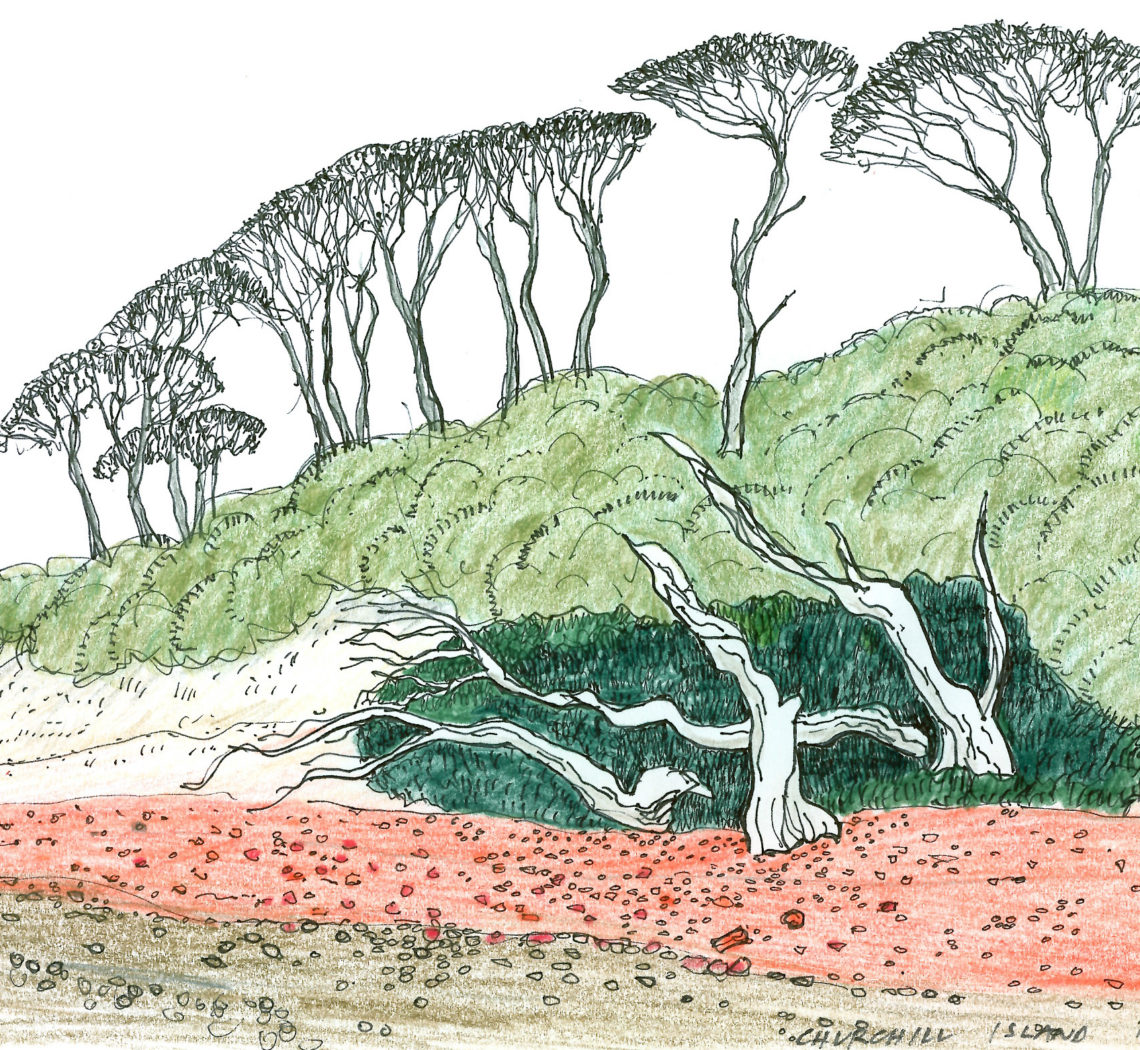 Philip Island - Nott Architecture