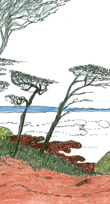 Philip Island - Nott Architecture