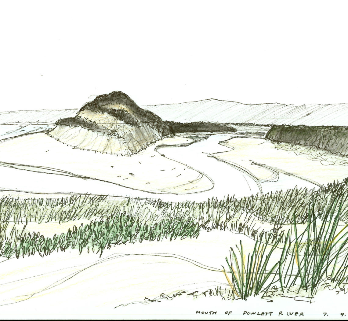 Philip Island - Nott Architecture